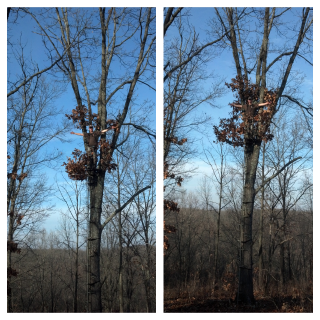 New Hunting Strategies For The Late Season • Hunting Advice and Tips ...