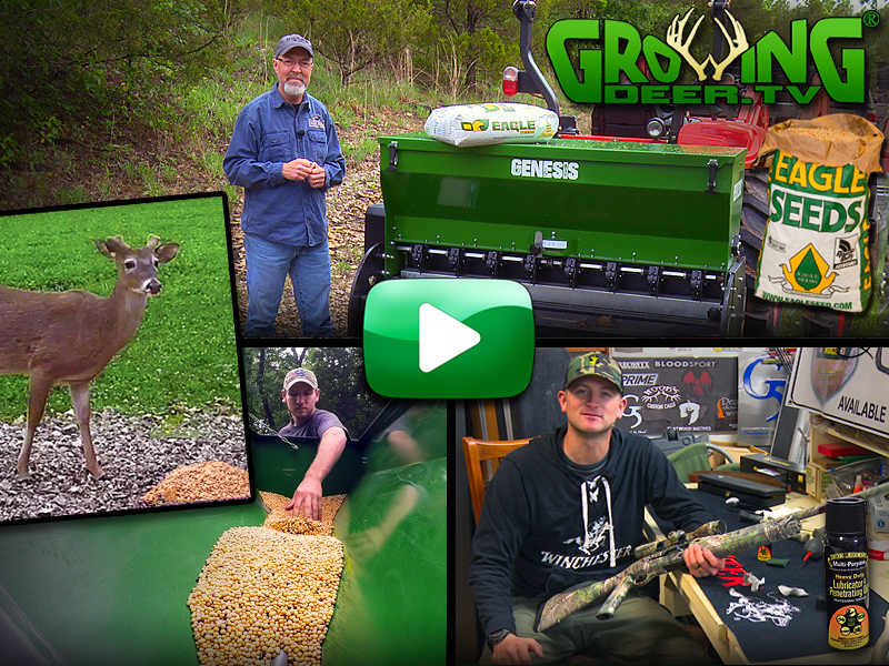 Food Plots • Hunting Advice and Tips For Serious Deer And Turkey Hunters