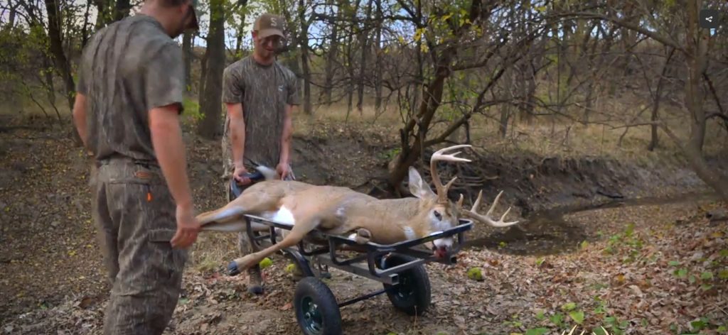 Predator Trapping • Hunting Advice and Tips For Serious Deer And Turkey ...