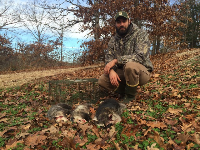 Trapping Now, Turkeys Later • Hunting Advice and Tips For Serious Deer ...