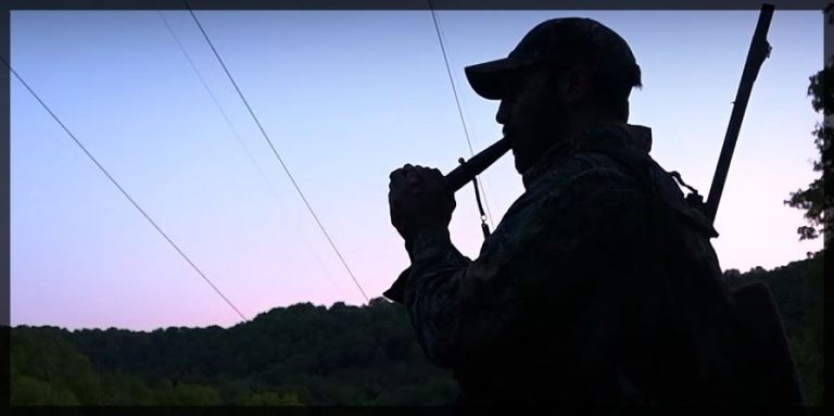 Turkey Hunting: Using an Owl Call • Hunting Advice and Tips For Serious ...