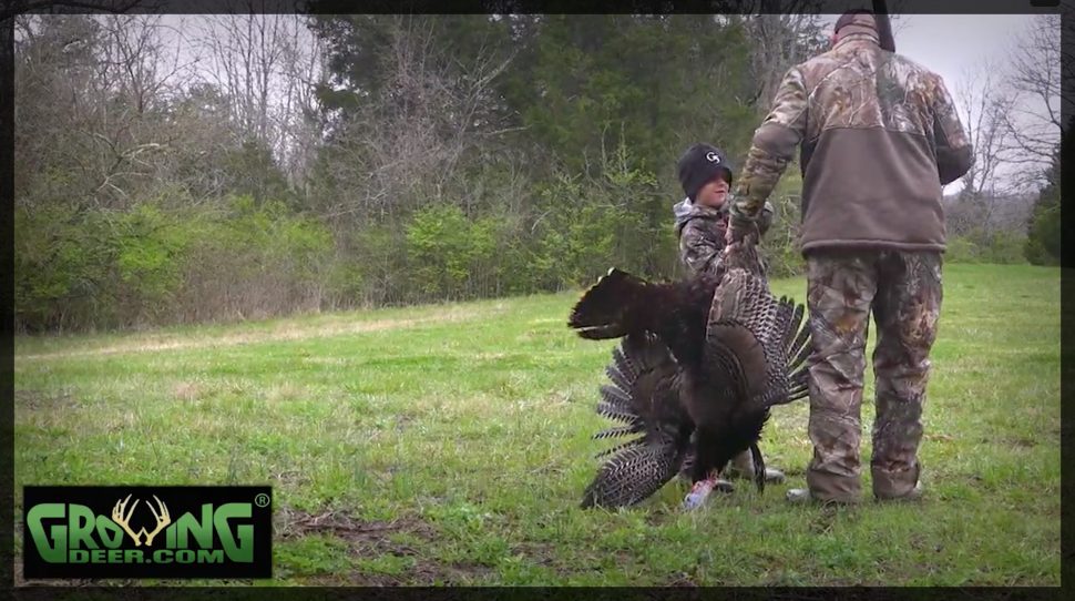 Whitetail Habitat Management • Hunting Advice and Tips For Serious Deer ...