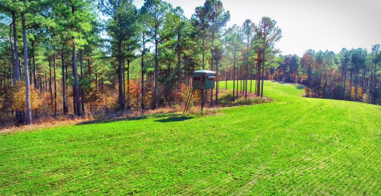 The Key to Success for this Kentucky Hunt: Food Plot Design • Hunting ...